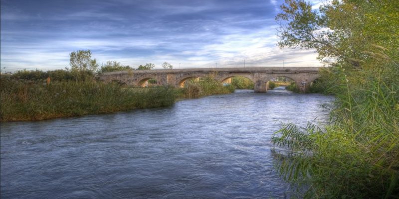 Ruta por el Parque Natural del Turia - Parc del Turia