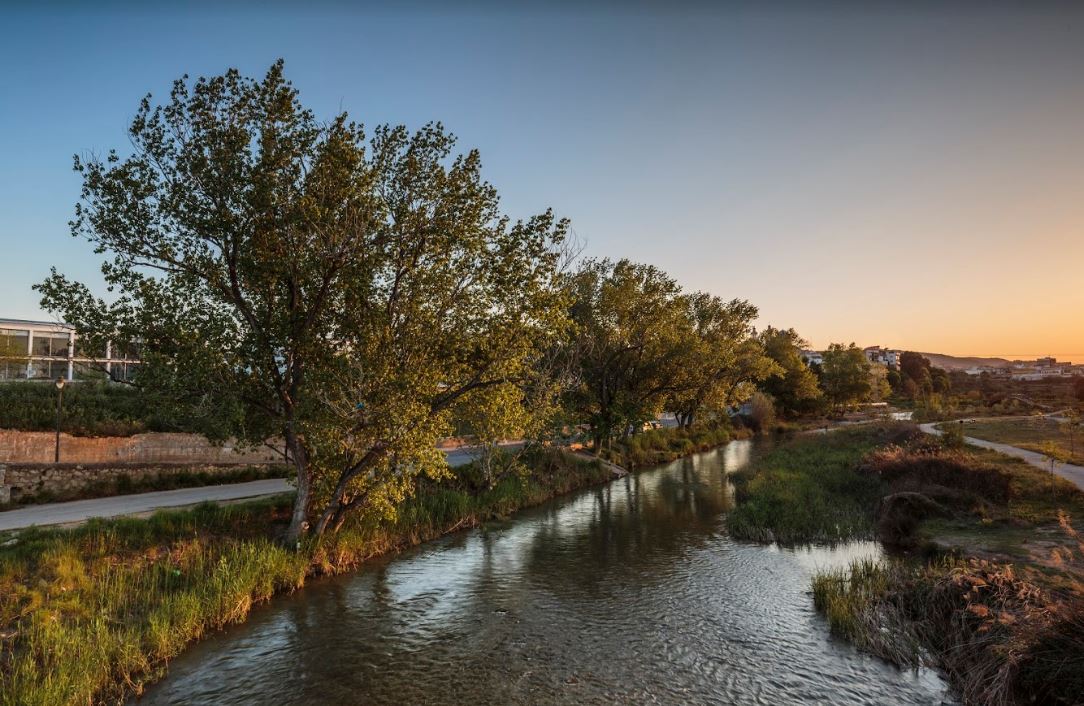 Ruta por el Parque Natural del Turia - Parc del Turia