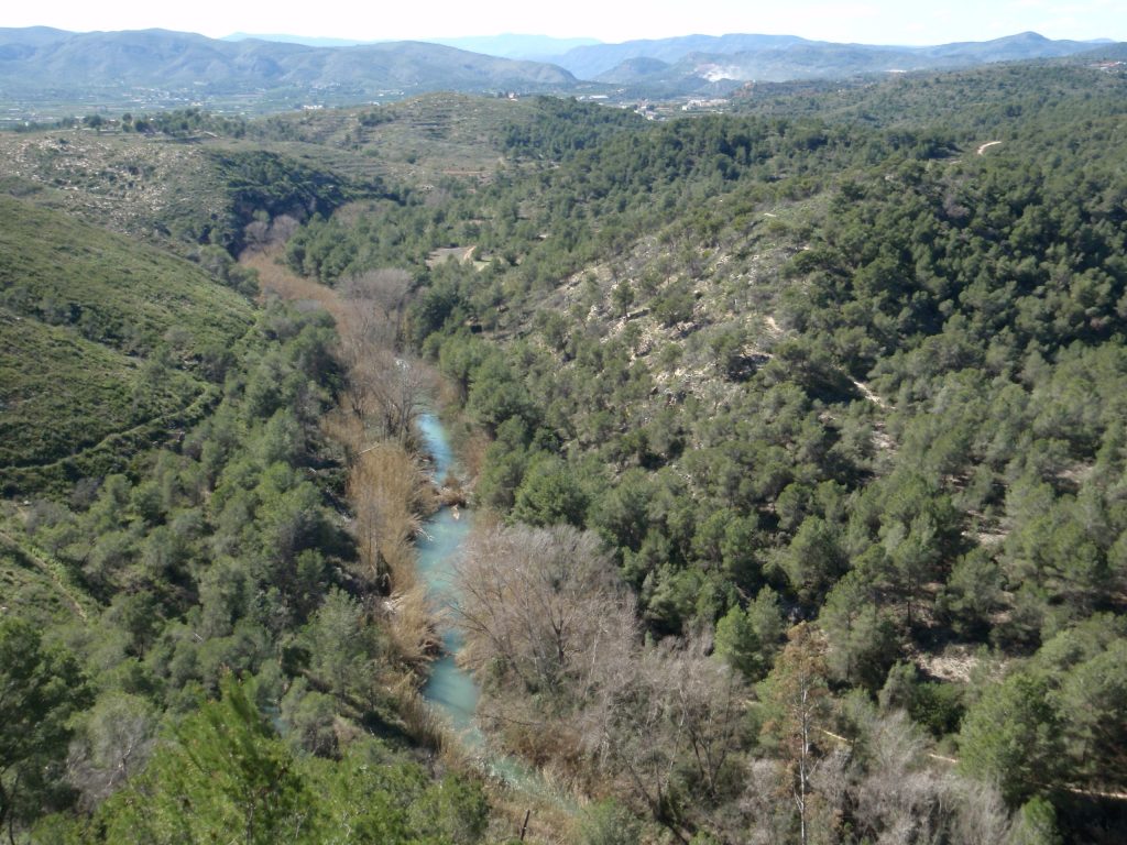 Ruta Azul: El Palmeral - Parc del Turia