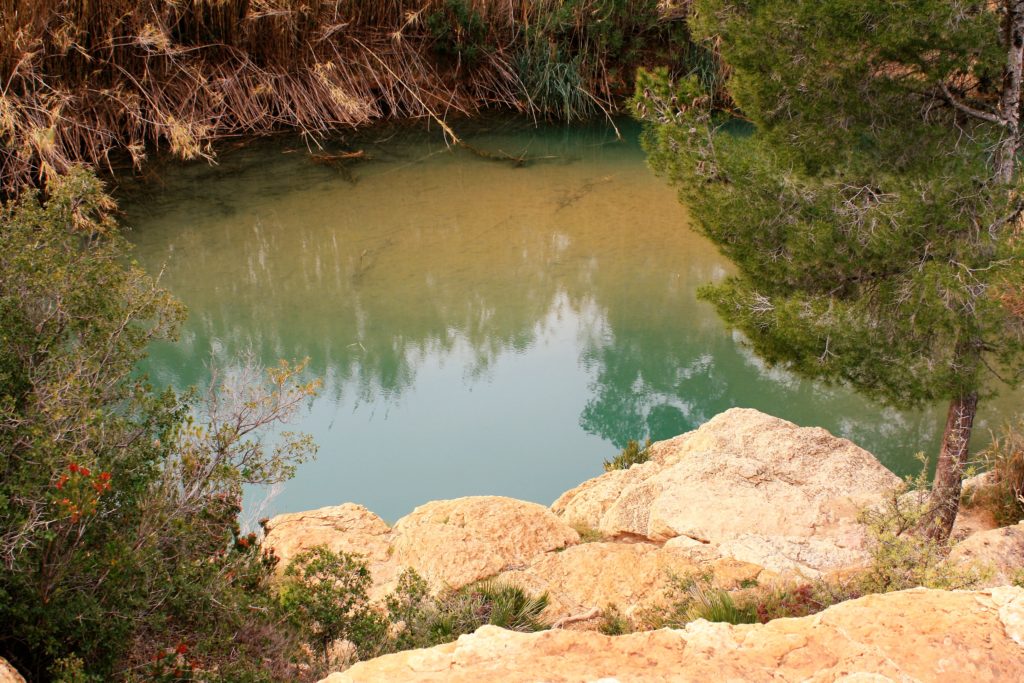 Ruta Azul: El Palmeral - Parc del Turia