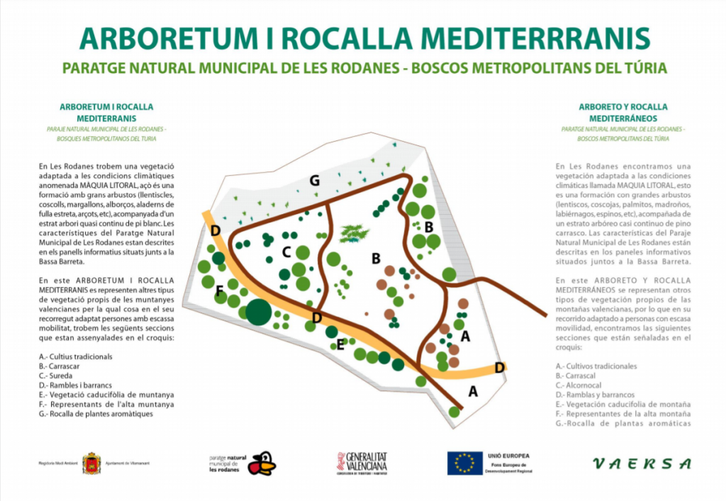 La Bassa Barreta y el Arboreto, 2 lugares que debes conocer en el ...
